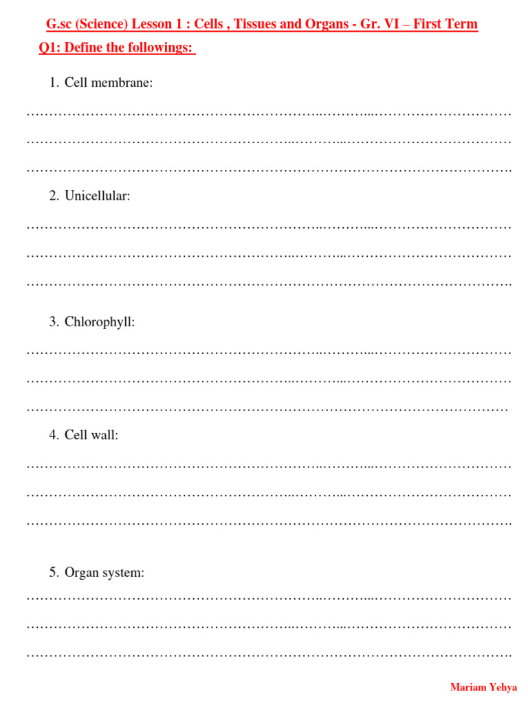 GSC- L1 & L2 - G6 غير محلول | PDF | Cell (Biology) | Eye