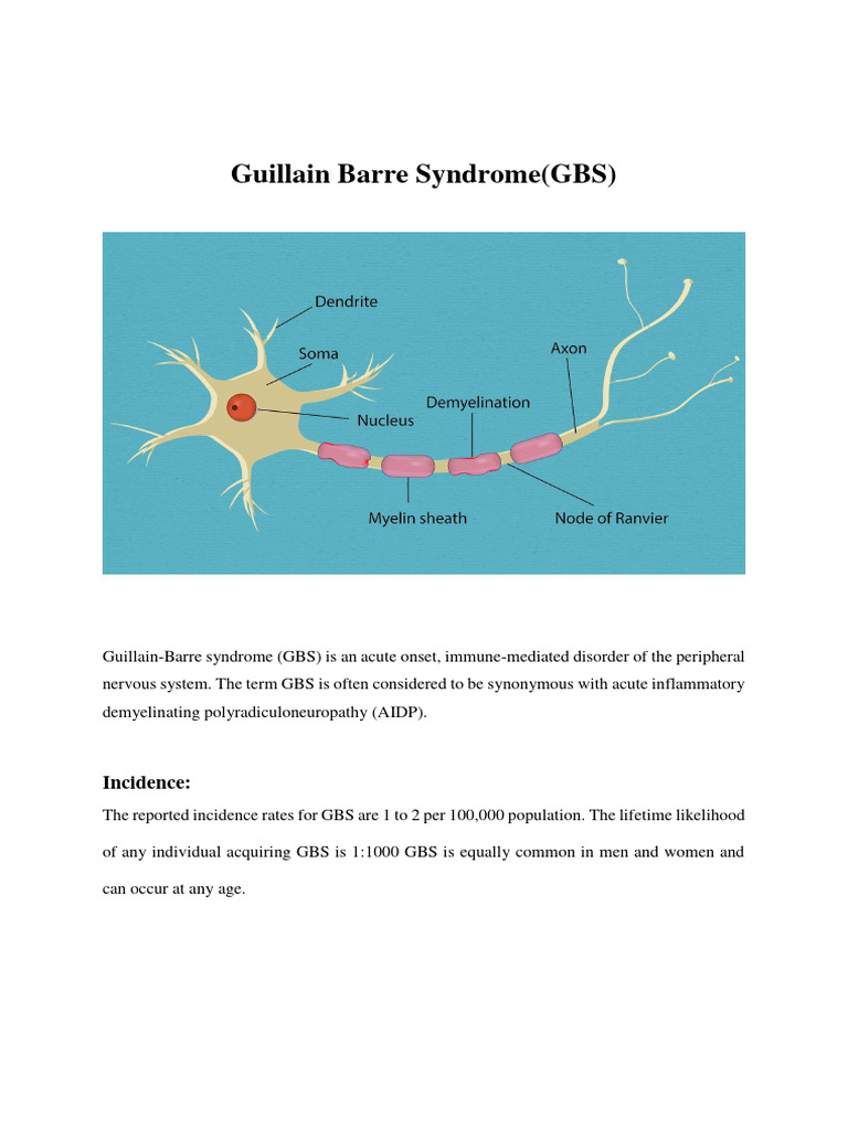 Guillain Barre Syndrome | PDF | Diseases And Disorders | Clinical Medicine