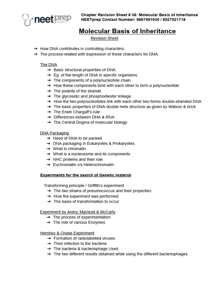 #38 Revision Sheet Molecular Basis of Inheritance | PDF | Dna | Gene