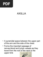 Axilla Anatomy: Boundaries and Contents | PDF | Limbs (Anatomy) | Human ...