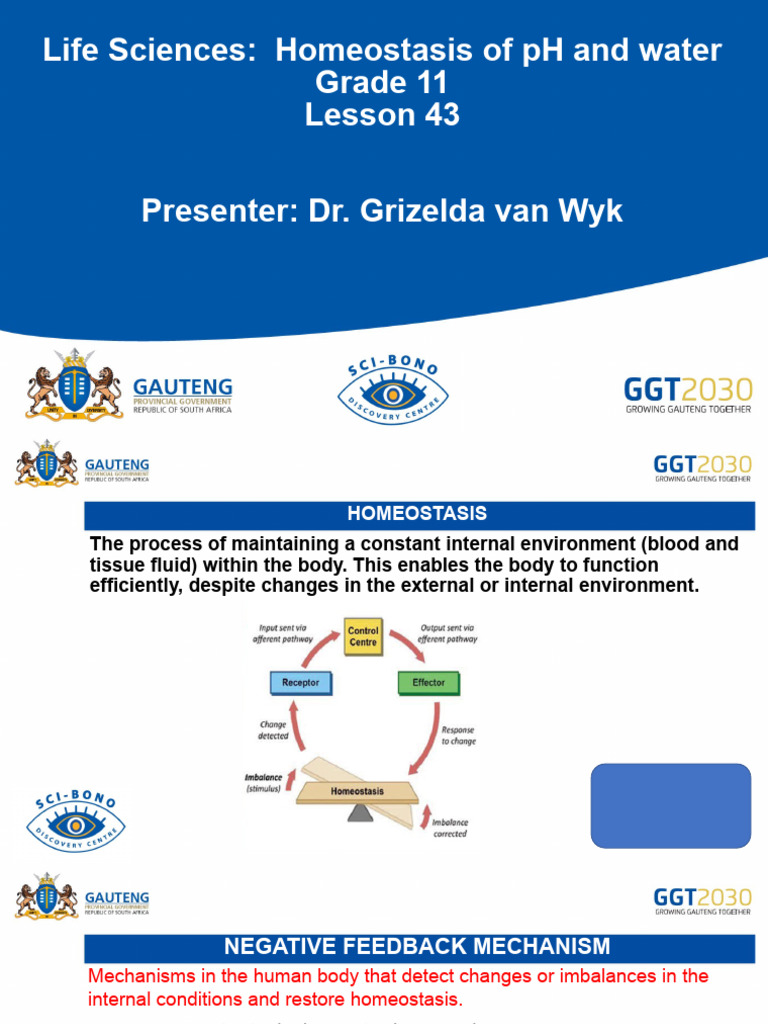 Life Sciences Gr.11 Lesson 43 Homeostasis of PH and Water | PDF ...