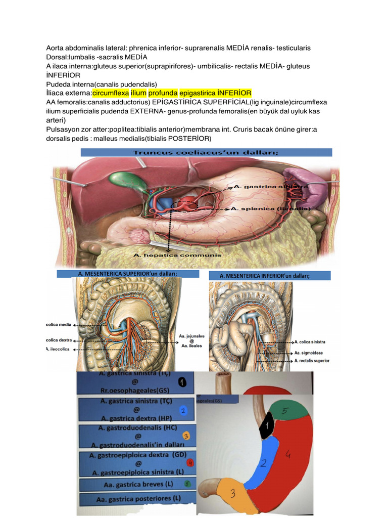 Ven Ve Arter Meltem | PDF