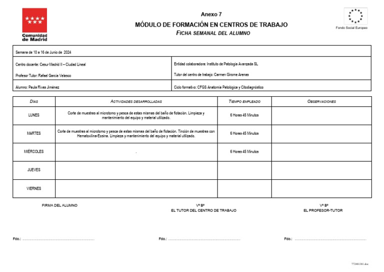 Modelo Anexos 7 - Seguimiento | PDF