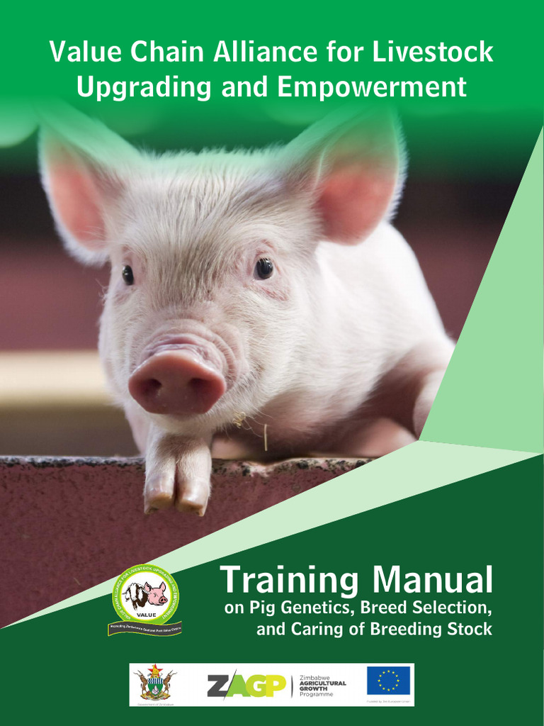 Pig Genetics & Breed Selection Guide | PDF | Pig | Inbreeding