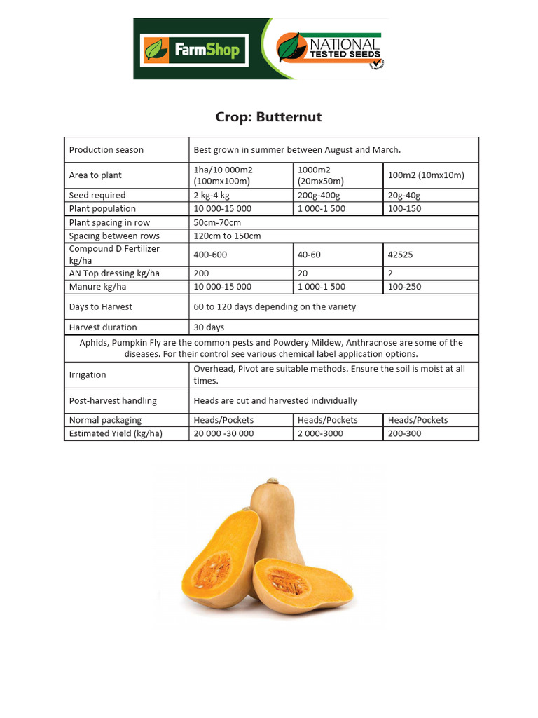 Butternut Crop Production Guide | PDF | Home & Garden