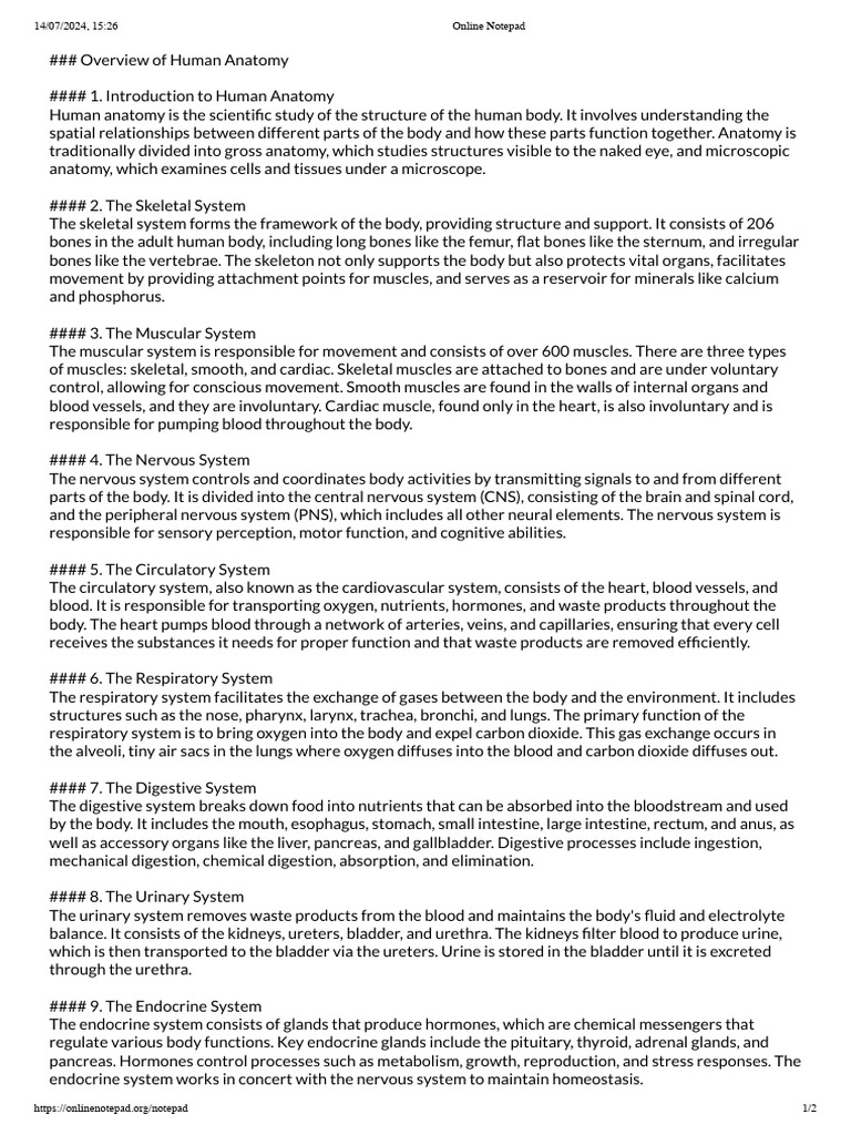 Human Anatomy | PDF | Human Body | Muscle