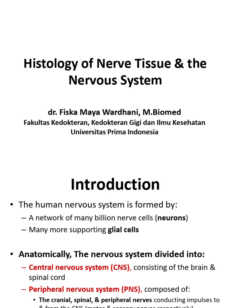 Histologi Jaringan Saraf | PDF | Axon | Synapse