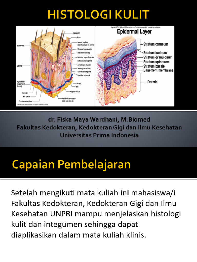 2a. Histologi Kulit & Integumen | PDF | Griya & Taman | Kesehatan Holistik