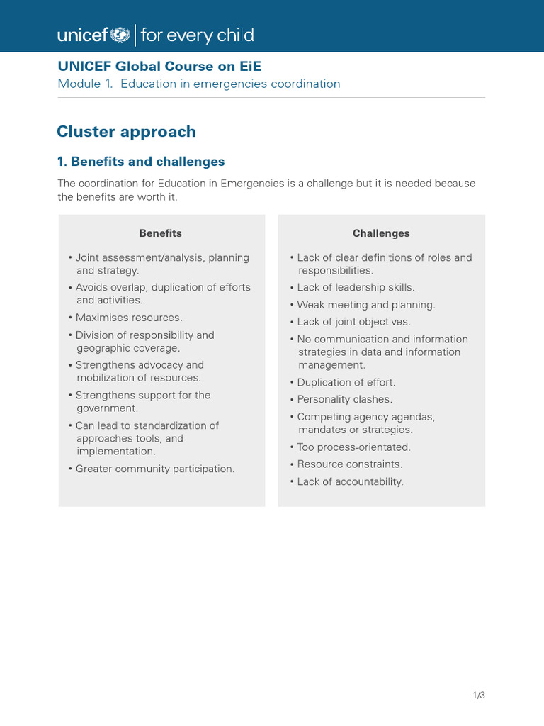 Cluster Approach | PDF | Humanitarian Aid