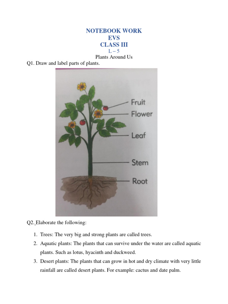 L - 5, Plants Around Us Notebook | PDF | Plants | Trees