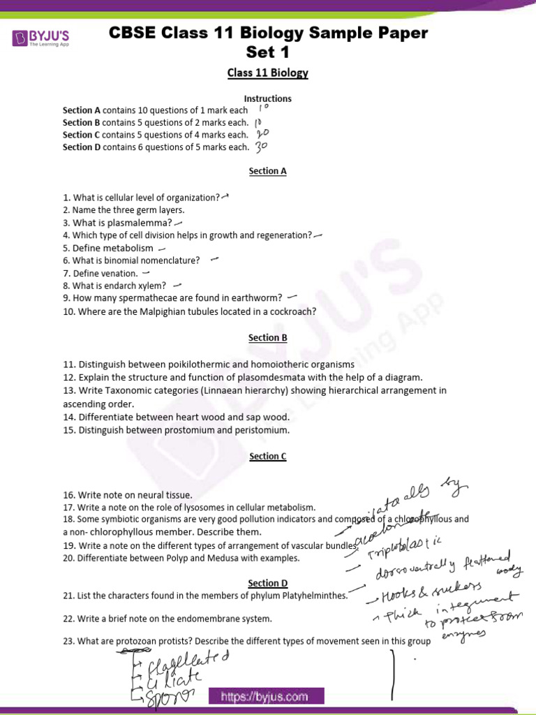 CBSE Class 11 Biology Sample Paper Set 1 | PDF