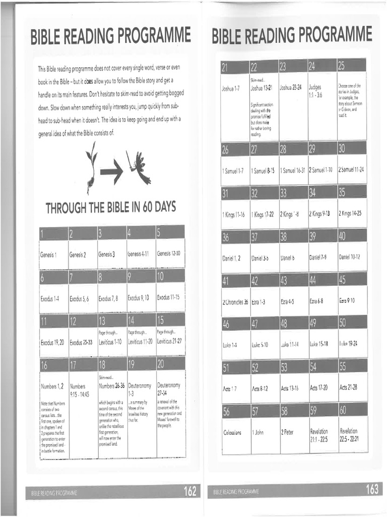 Reading Plan | PDF
