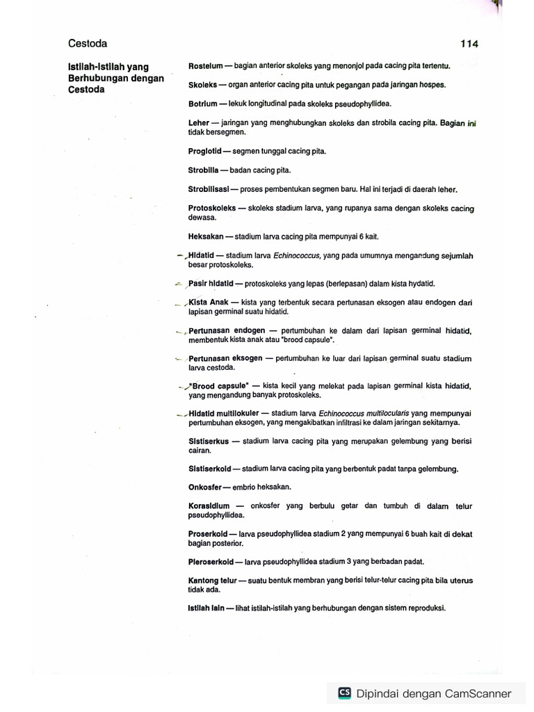 Cestoda (Cacing Pita) | PDF