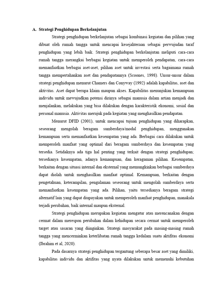 Strategi Penghidupan Berkelanjutan | PDF
