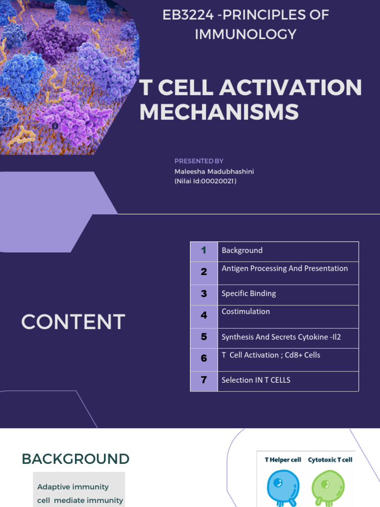 Mechanisms of T Cell Activation | PDF | T Cell | T Helper Cell