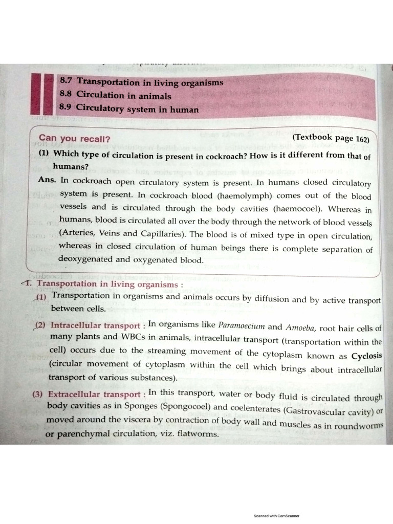 Respiration & Circulation 12th Biology Notes | PDF