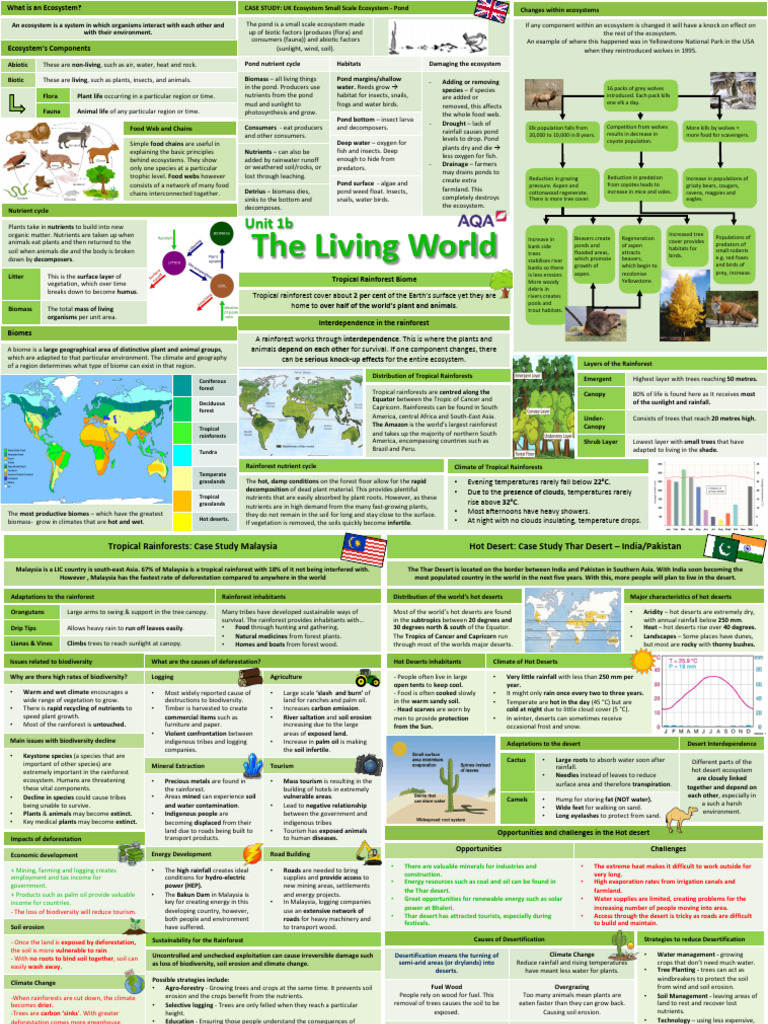 Section B Knowledge Organiser | PDF | Rainforest | Ecosystem