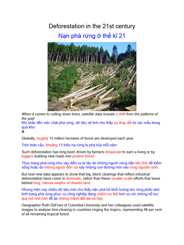 Deforestation in The 21st Century | PDF