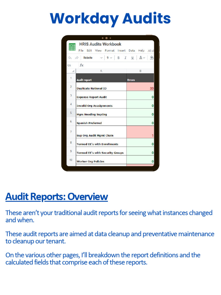 Workday Audit Reports | PDF | Information Technology | Computing