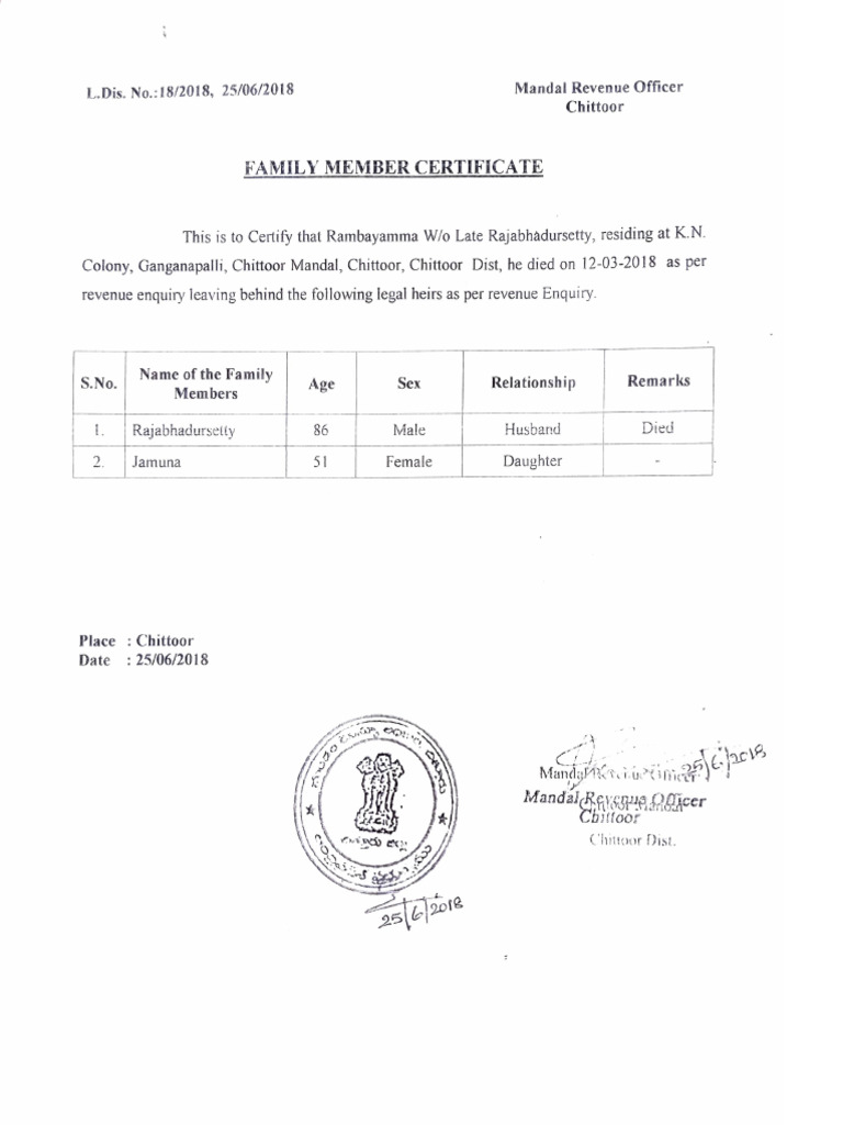 Family Certificate | PDF