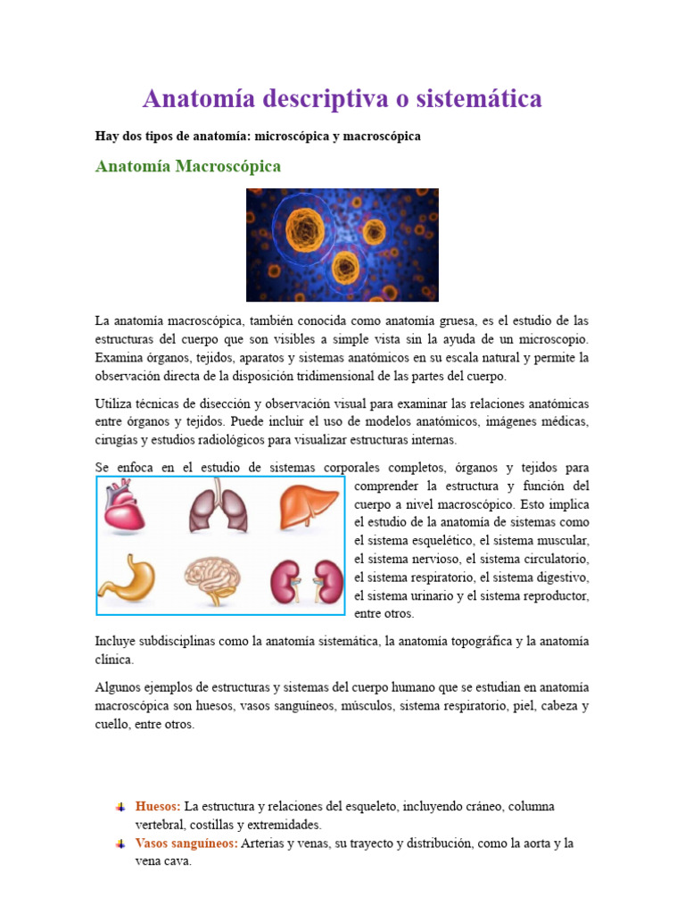 Anatomía Descriptiva o Sistemática | PDF | Anatomía | Histología