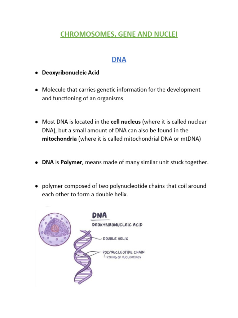Development of Organisms | PDF | Meiosis | Mitosis
