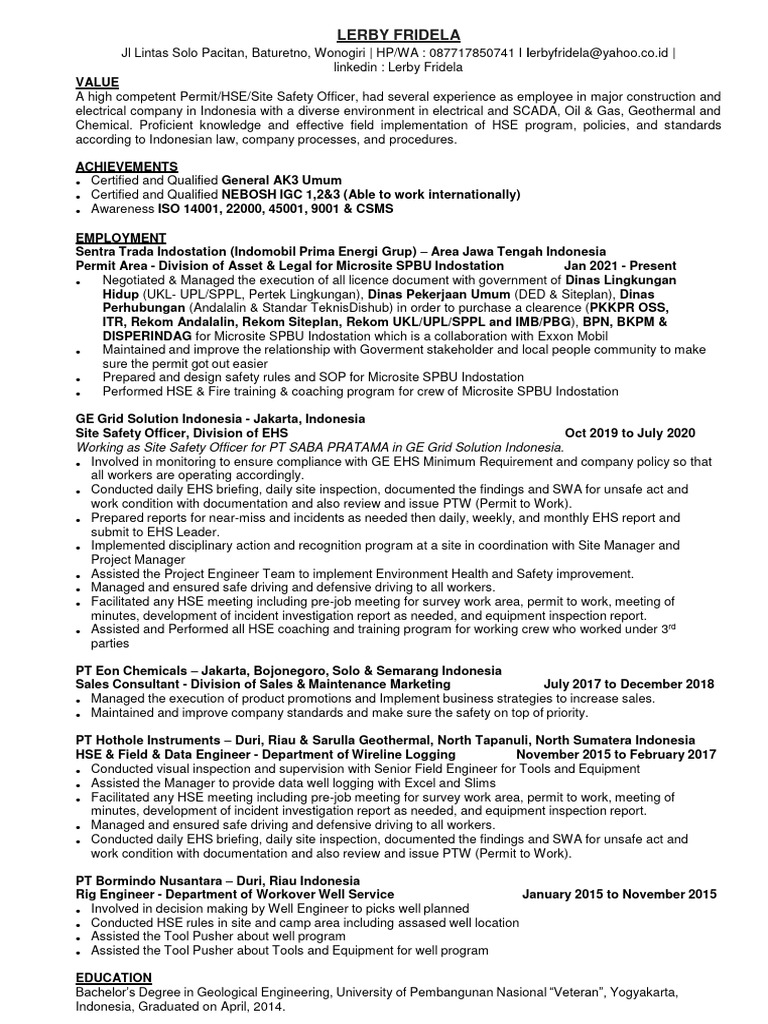 CV Lerby Fridela - SAFETY EXECUTIVE | PDF