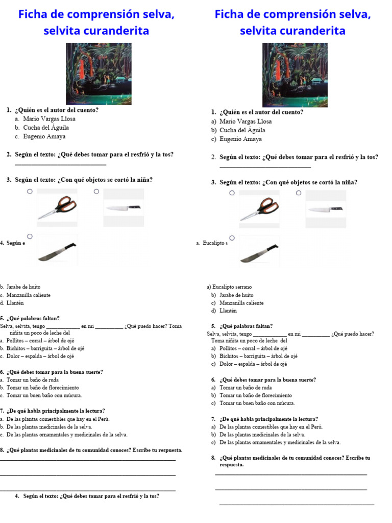 Comprensión de la Selva: Actividades y Preguntas | PDF