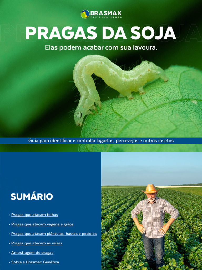 Lagartas Soja | PDF