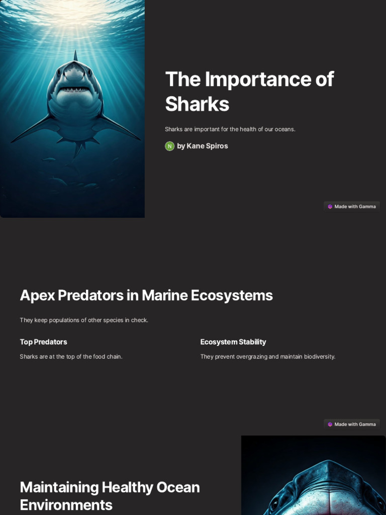 The Importance of Sharks | PDF | Sharks | Overfishing