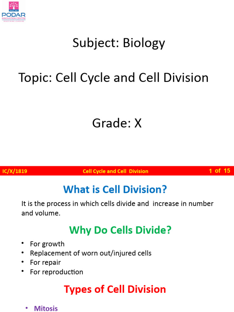 Cell Cycle & Division Guide | PDF | Mitosis | Genetics