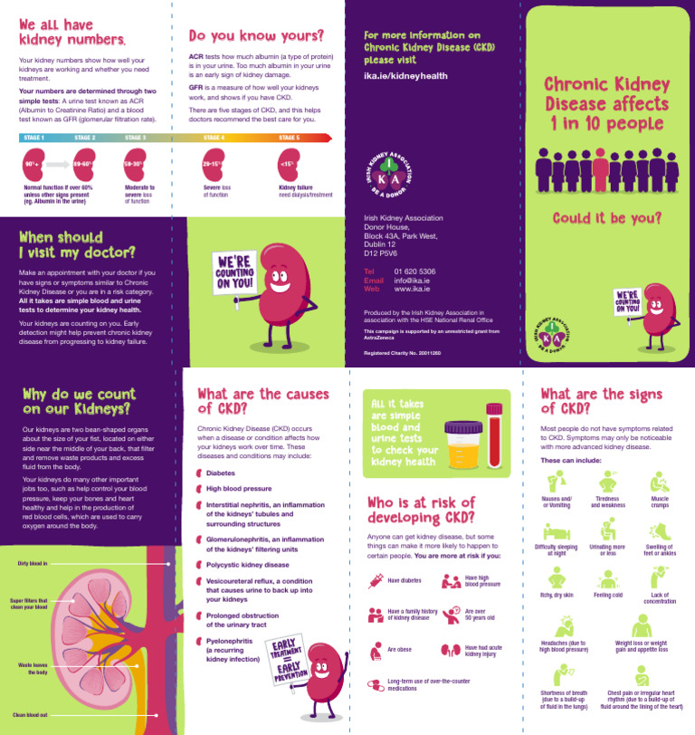 IKACKDAwareness Leaflet LR1 | PDF | Chronic Kidney Disease | Urology