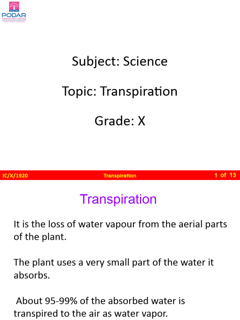 Understanding Plant Transpiration | PDF