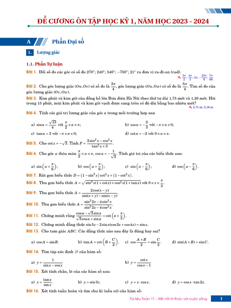 11 HK1 Đề Cương | PDF
