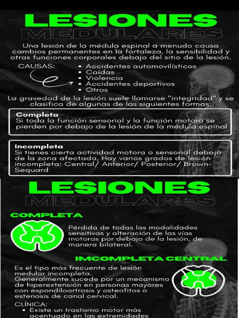 Lesión Medular | PDF