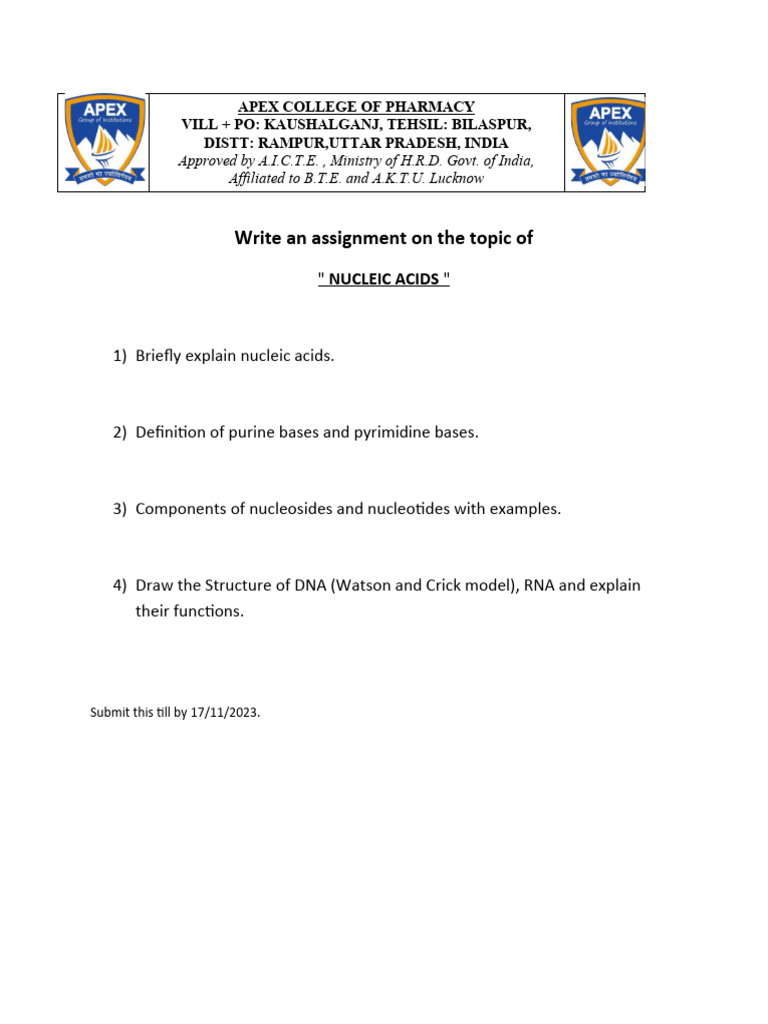 Nucleic Acids Assignment Guidelines | PDF