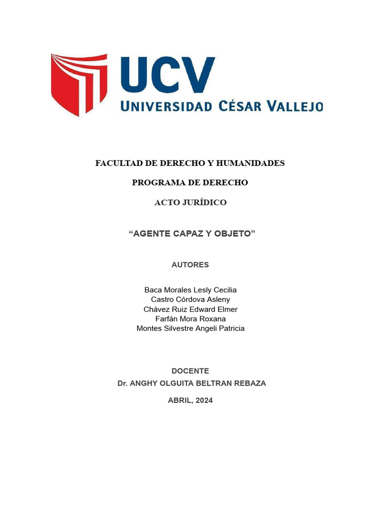 Agente Capaz y Objeto | PDF | Menor (ley) | Derechos