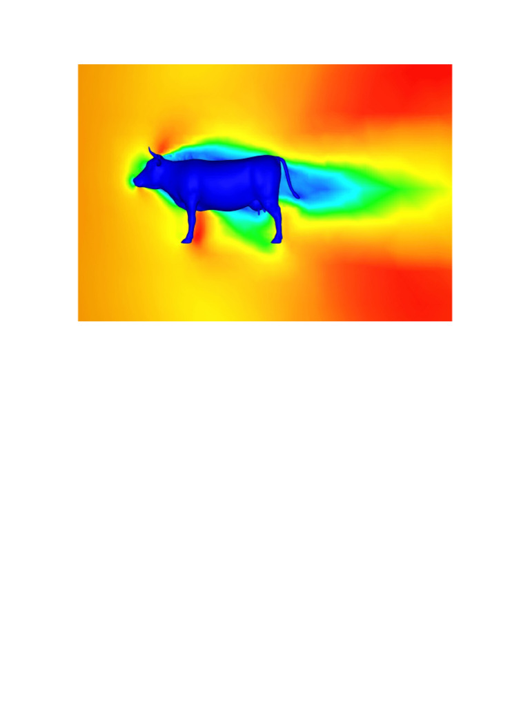 CFD Cow | PDF