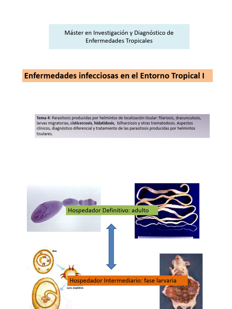 Cisticercosis: Diagnóstico y Tratamiento | PDF | Especialidades Medicas ...