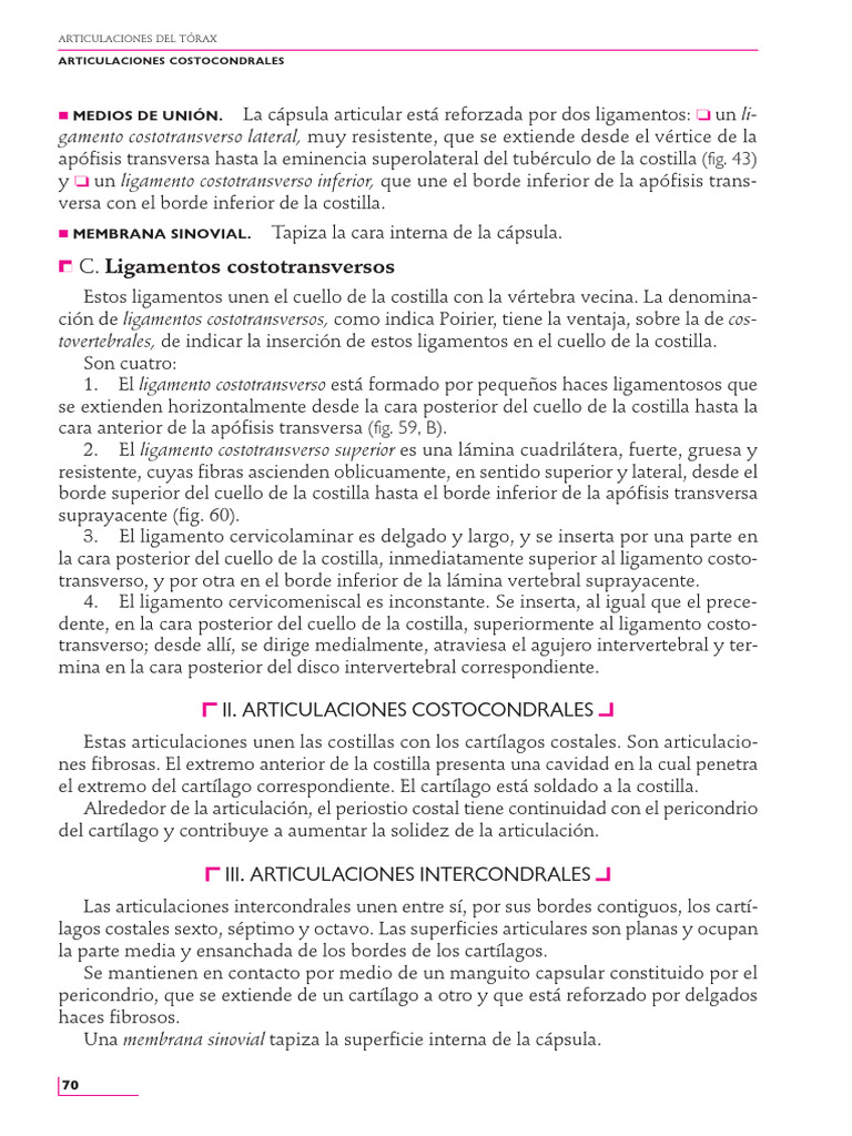 Articulaciones Esternocostales y Rouviere | PDF | Tórax | Articulación