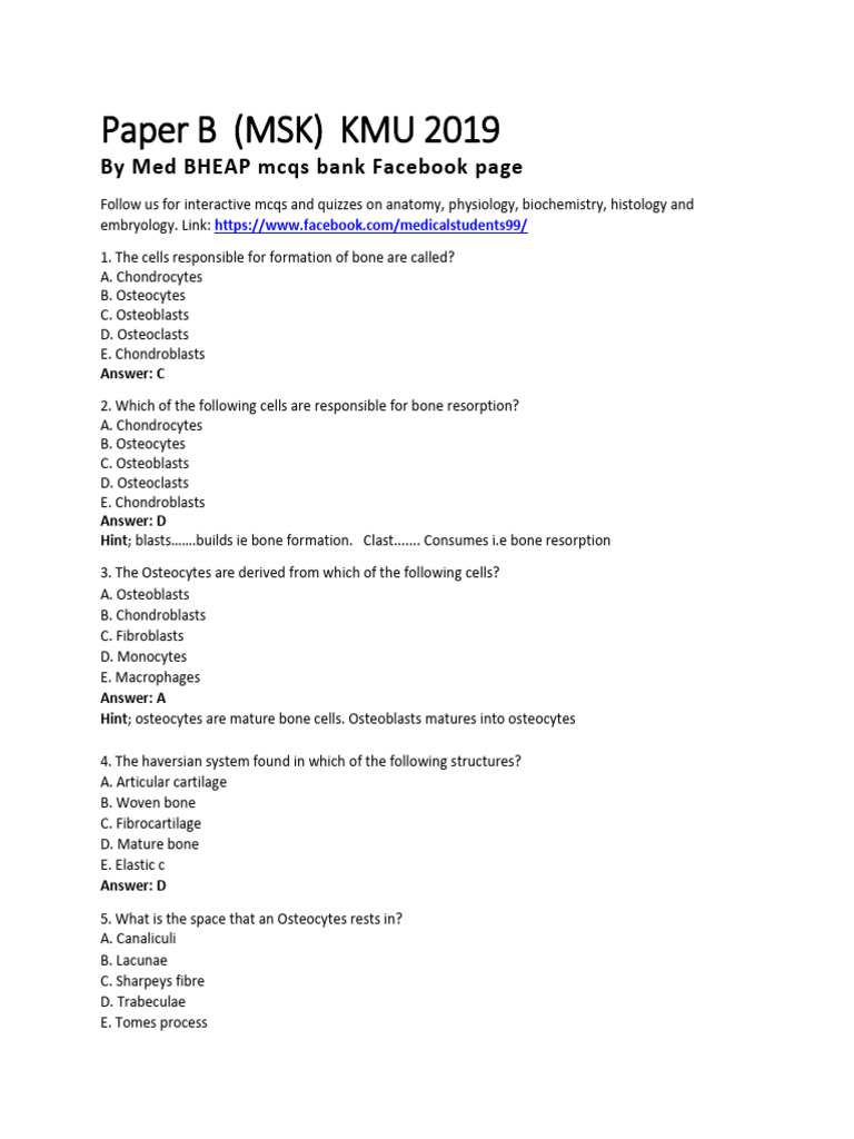 Paper B Kmu 2019 With Key | PDF | Muscle Contraction | Human Leg