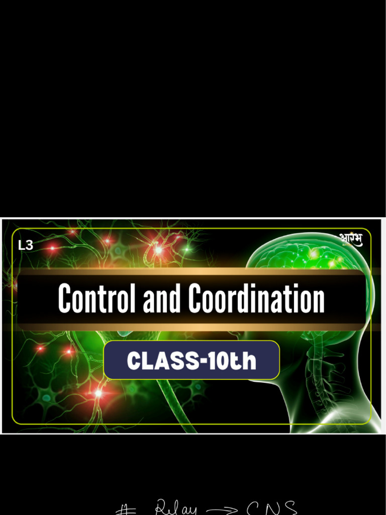 Control and Coordination L3 | PDF