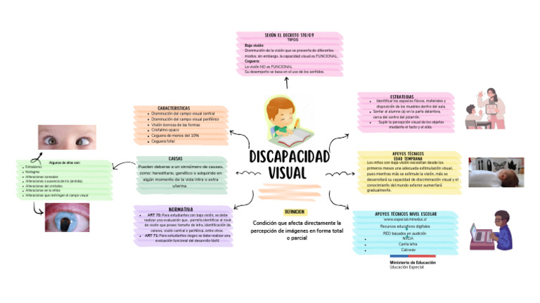 Organizador Grafico | PDF | Percepción visual | Discapacidad visual