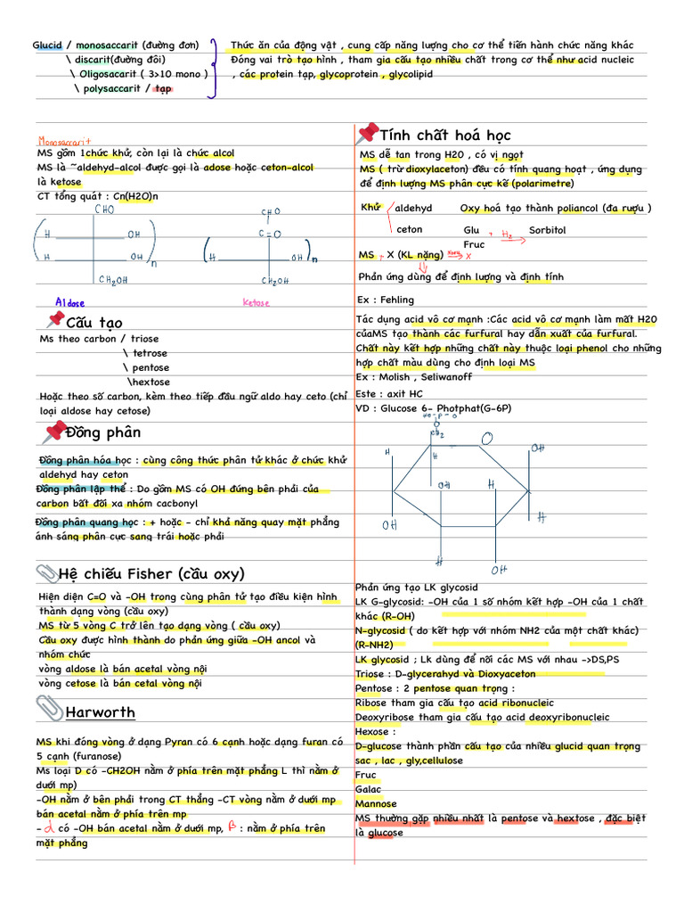 Glucid - Hoá Sinh 1 | PDF