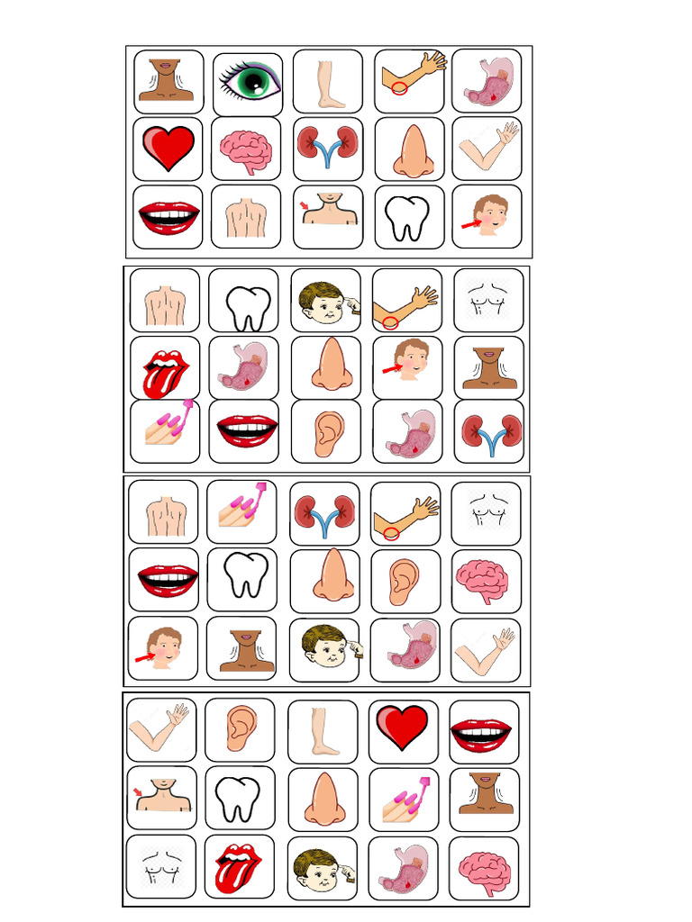 Bingo Game 1body Parts | PDF | Language Arts & Discipline