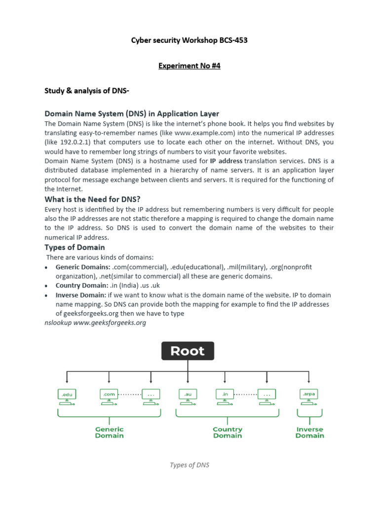 Cyber Lab4 | PDF | Domain Name System | Domain Name