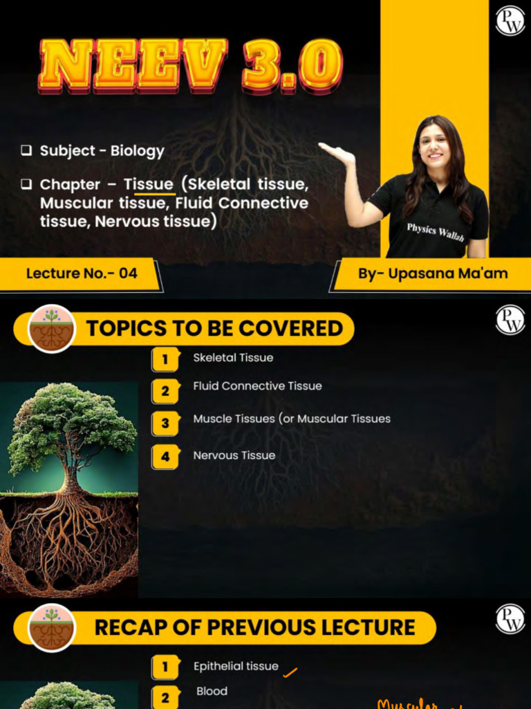 Class Notes Neev 3.0 2024 | PDF Class Notes Neev 3.0 2024 | PDF
