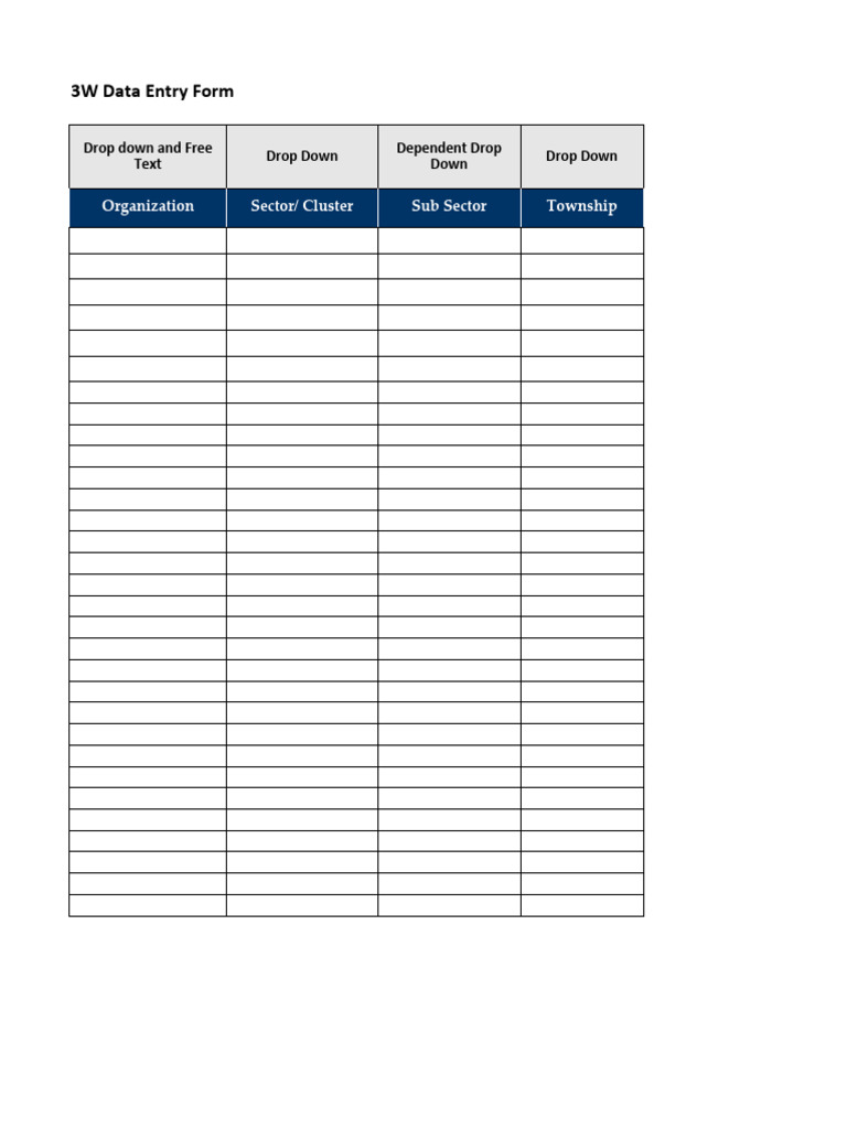 Data Entry Form for NGOs | PDF | Myanmar | United Nations