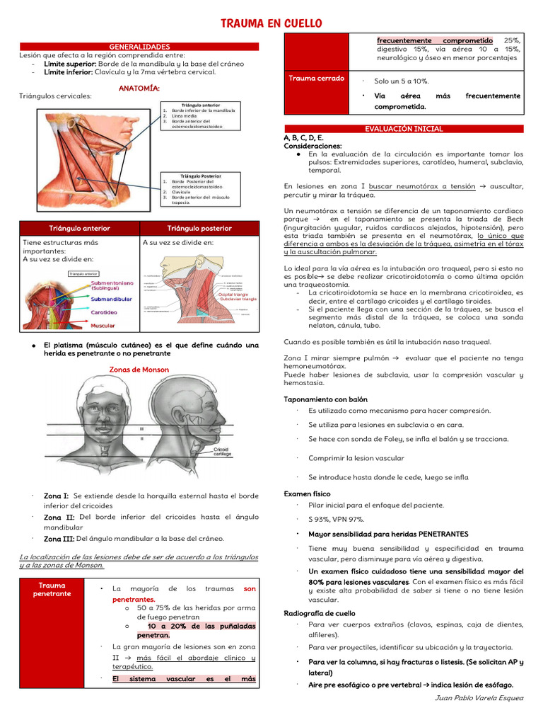 Trauma en Cuello | PDF | Angiografía | Ct Scan