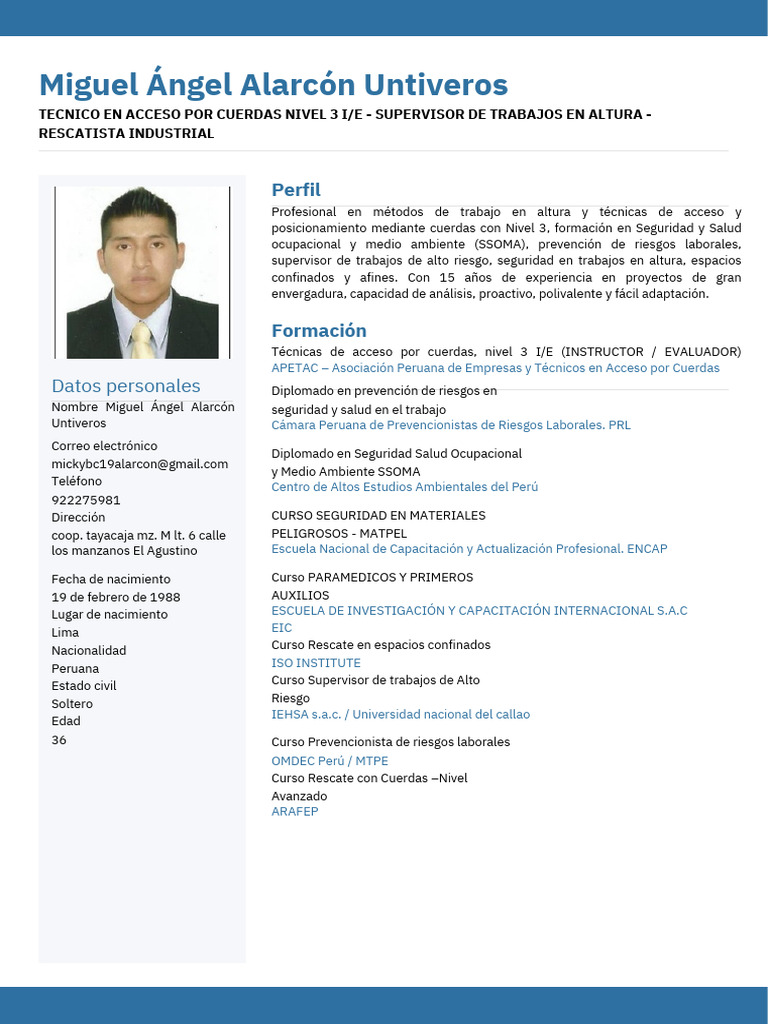 CV Miguel Alarcon U | PDF | Perú